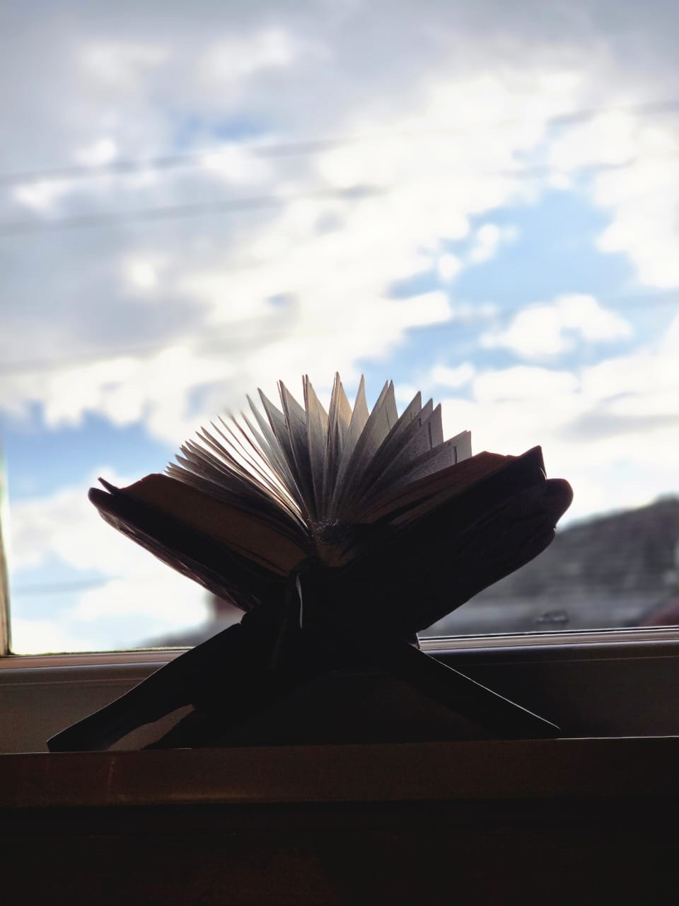 The Ma’dhur (excused person) – Tayyibah Tree